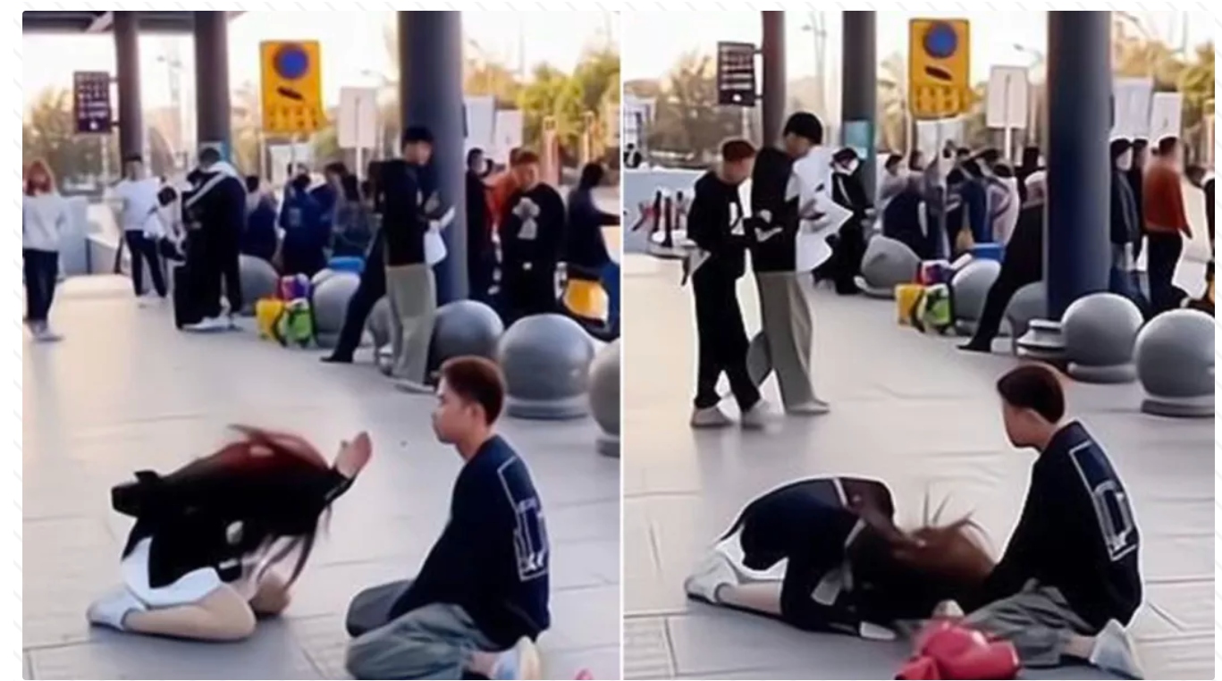 I Want to Be a Stalker When I Grow Up